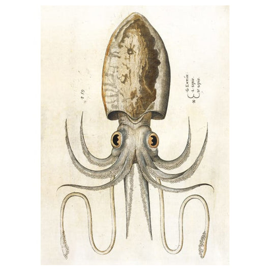 British Library Cards – Art & History-Inspired Cards